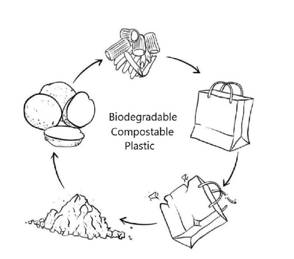 Trang chủ - Công Ty TNHH Bao Bì Hapobe