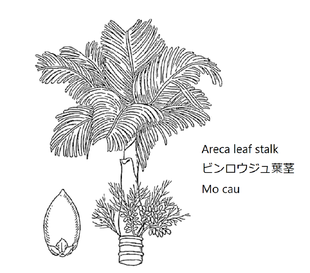 Trang chủ - Công Ty TNHH Bao Bì Hapobe